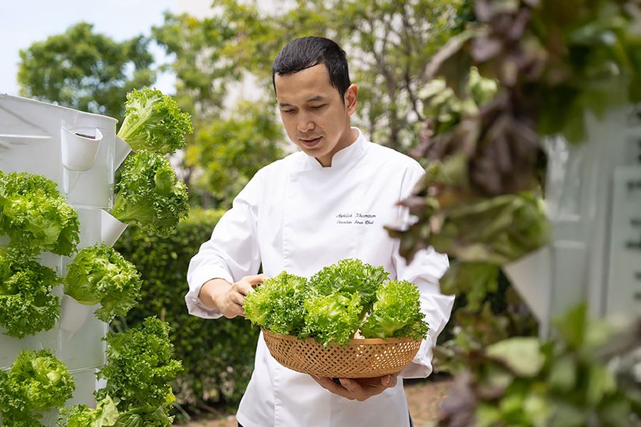 Sustainable Eco Friendly Hotel in Pattaya | Amari Pattaya Hotel