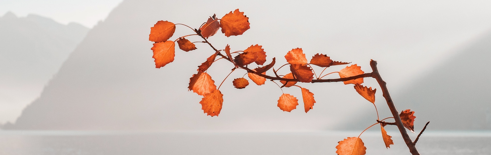 Site map - Shama Hotels and Serviced Apartments