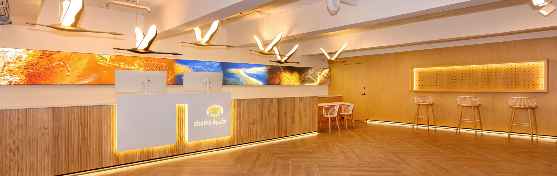 Shama Hub Metro South Hong Kong - A neighbourhood of amenities